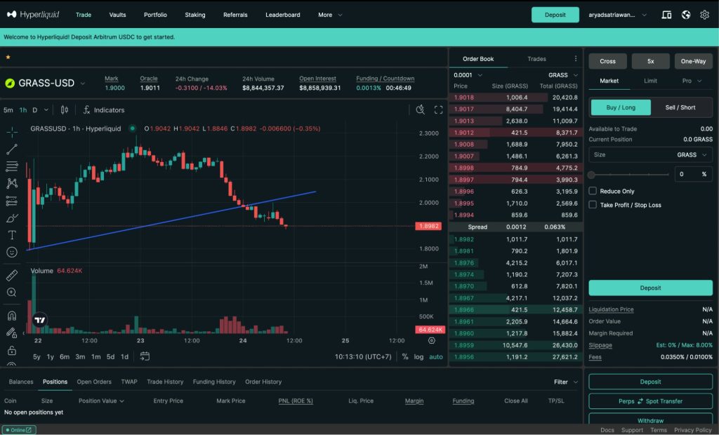 What is Hyperliquid (HYPE): Will It Be The Next Binance (BNB)?